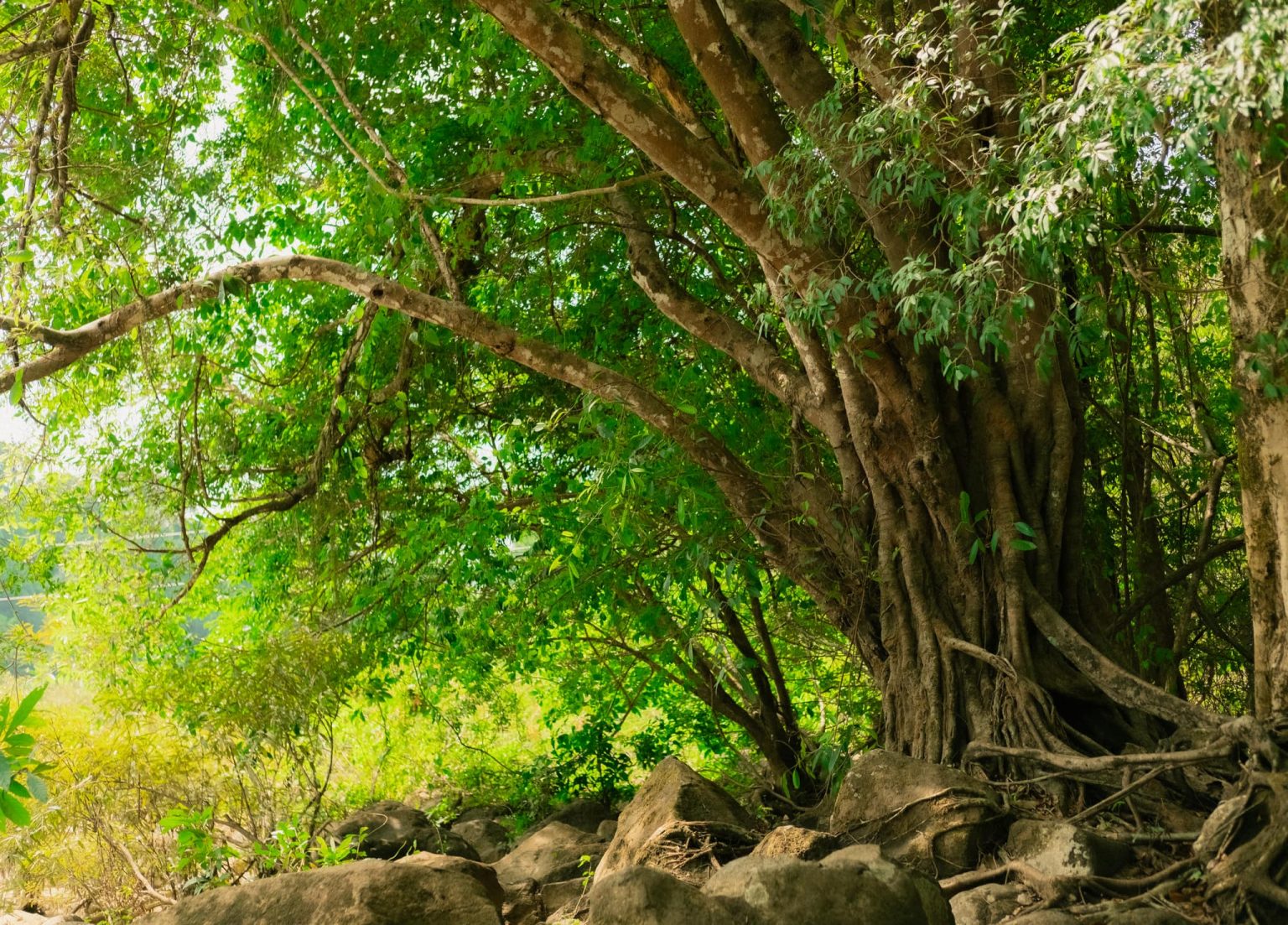 Le Parc Nam Cat Tien au sud Vietnam - Agence de voyage francophone au ...
