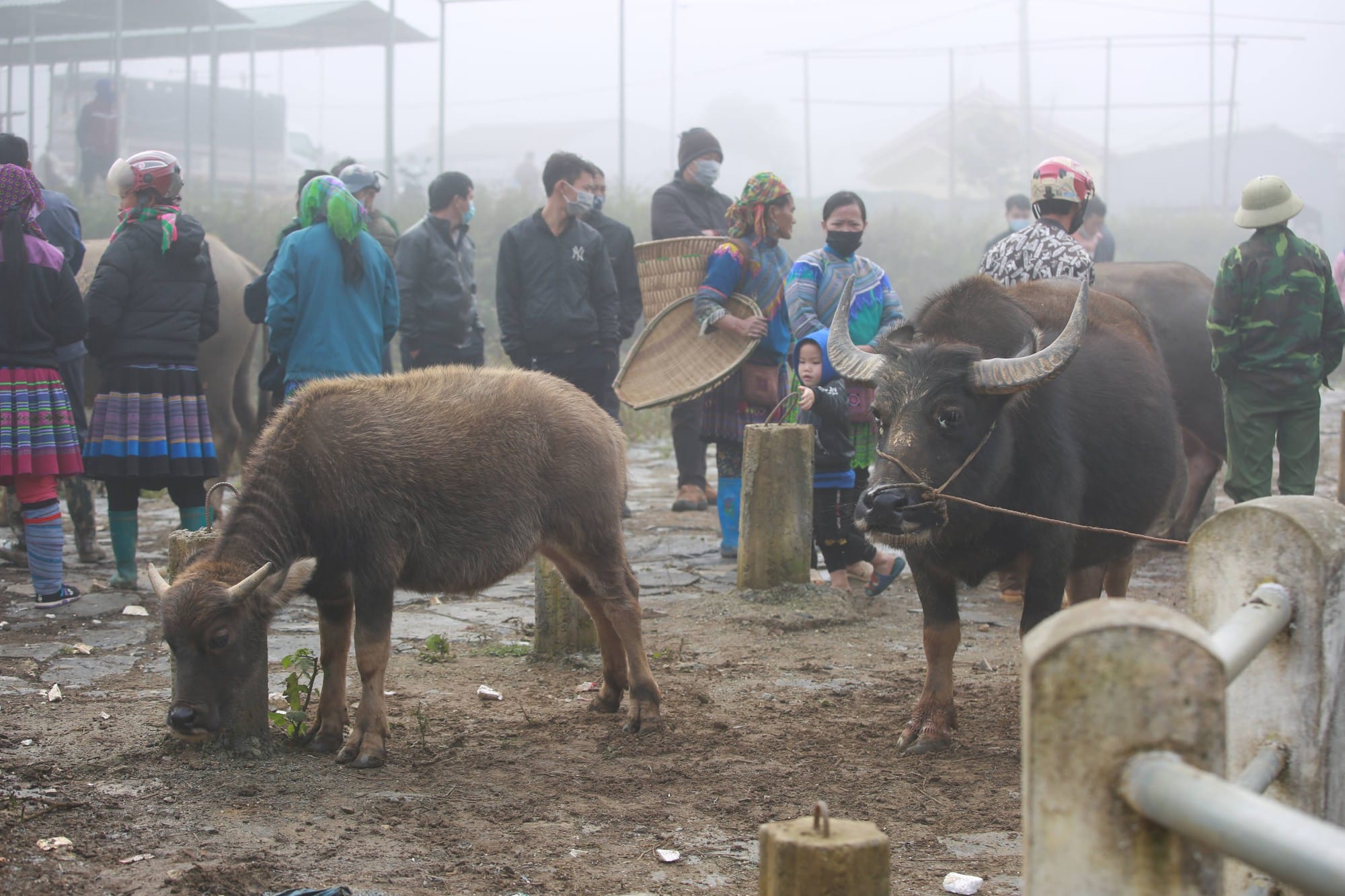 Mousson au Vietnam : période, climat et conseils de voyage